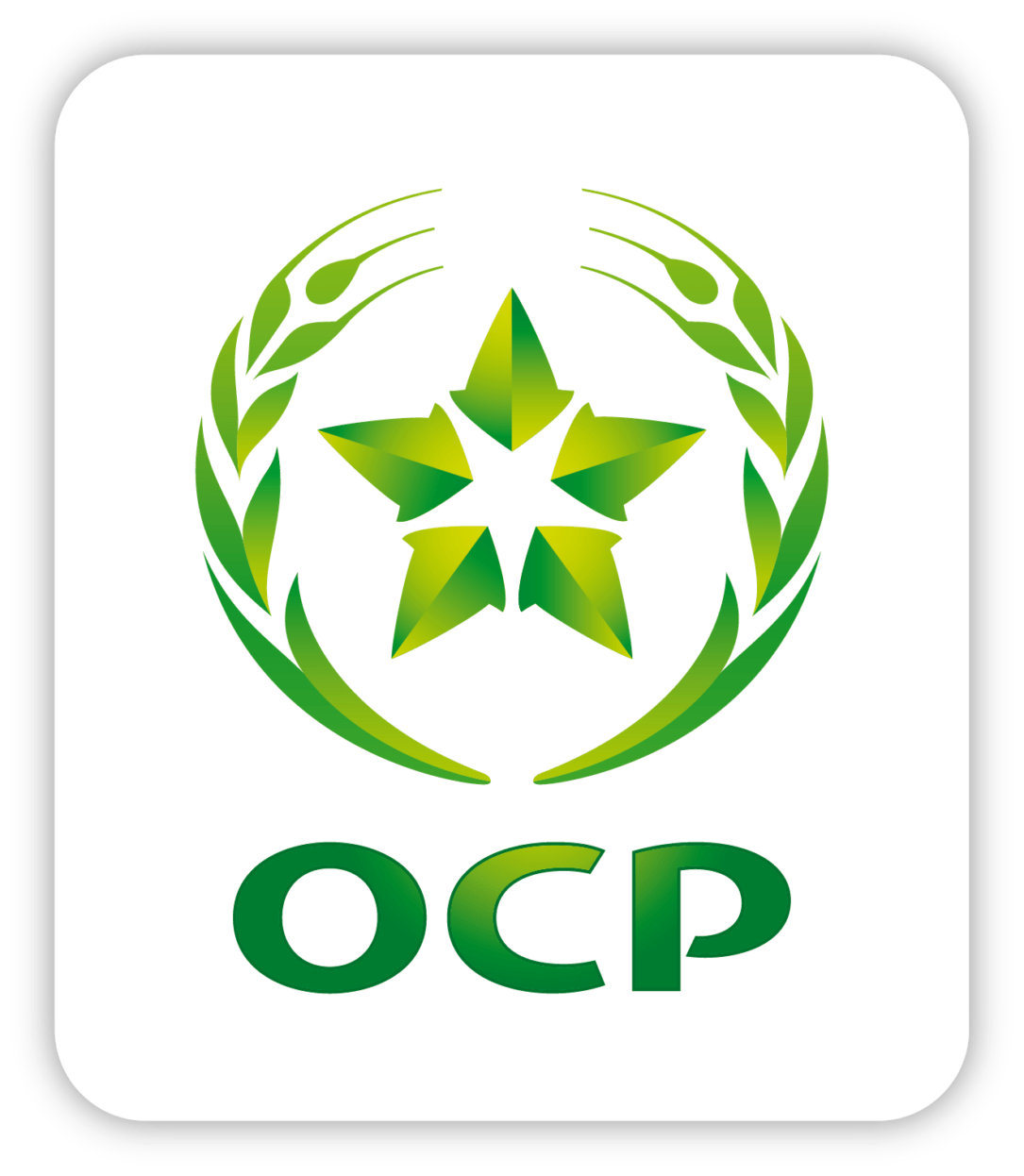 logo OCP Quadri - Those Who Inspire